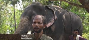 Gods In Shackles - A Film by Sangita Iyer | Gods in Shackles is an ...